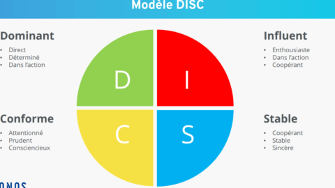 ᐉ Créer et analyser des profils disc en excel pour améliorer la ...